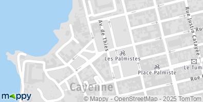 Chambre de Commerce et d'Industrie de la Guyane Cayenne (adresse)