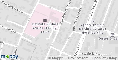 Gustave Roussy Hôpital de Chevilly-Larue Chevilly Larue - Hôpital (adresse)