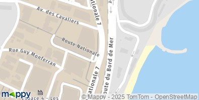 But International, 1966 rte Nationale 7, 06270 Villeneuve Loubet ...